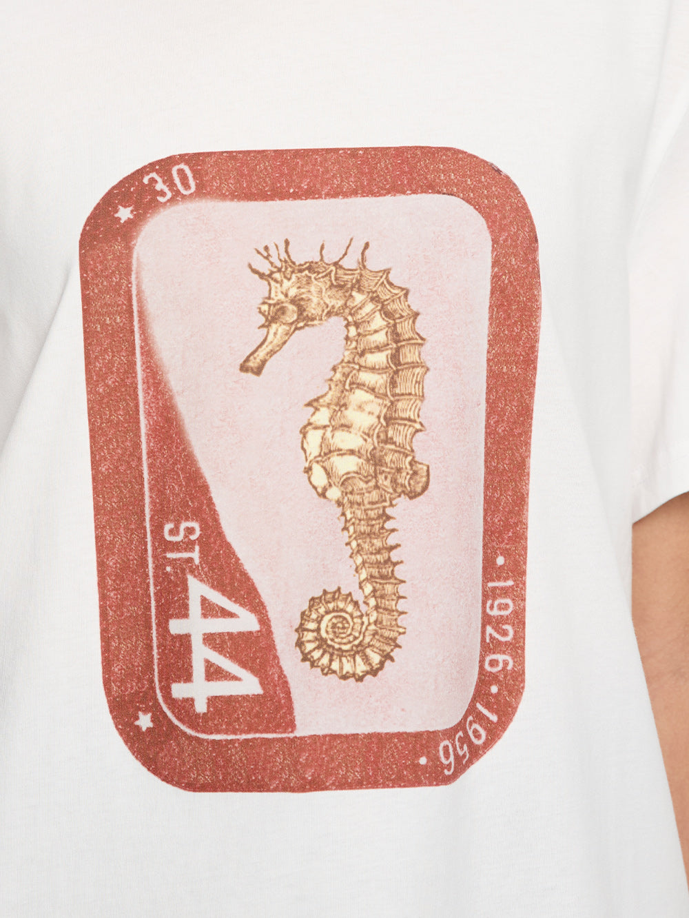 Sheldon Tee | Seahorse Printed T-shirt - KIVARI
